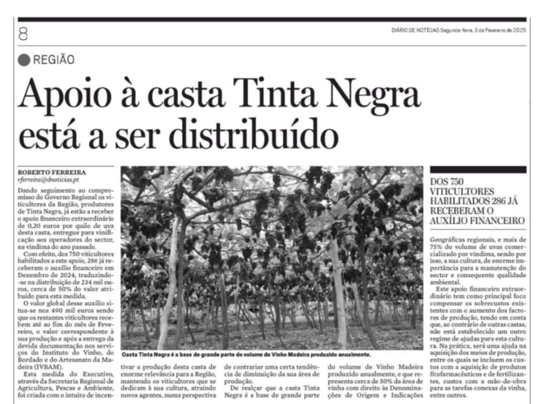 Apoio Casta Tinta Negra Est A Ser Distribu do IVBAM apoio-casta-tinta-negra-est-a-ser-distribu-do-ivbam